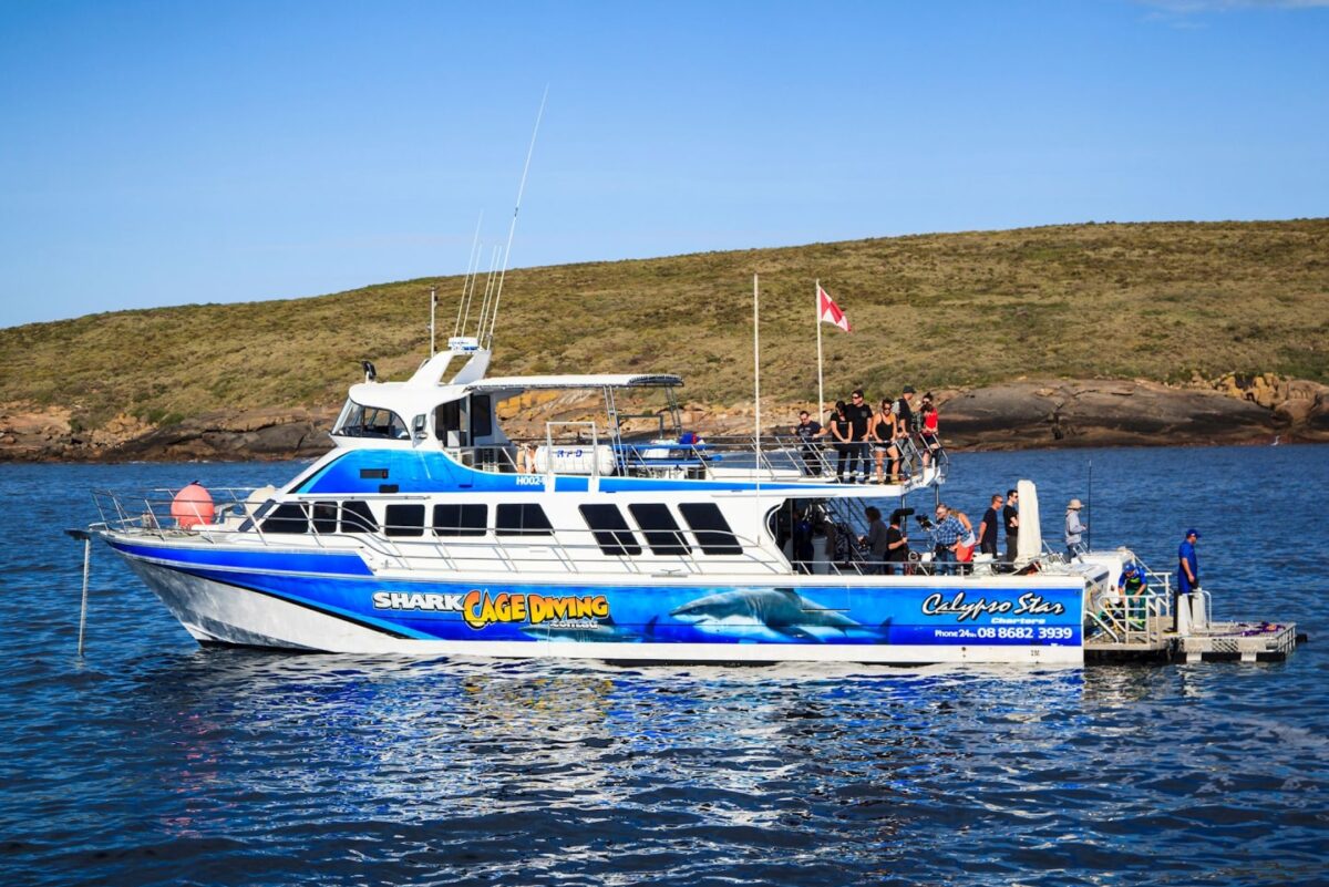Pro Program | Charter and Ferry Gyro Stabilizer Discount